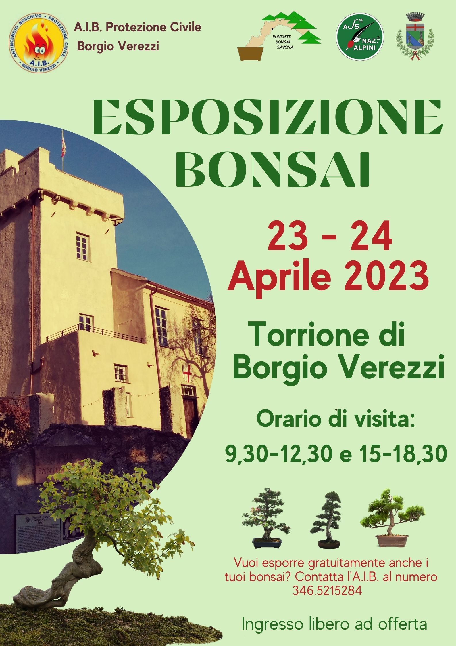 Domenica 23 e Lunedì 24 aprile - Esposizione Bonsai al Torrione - Visit ...